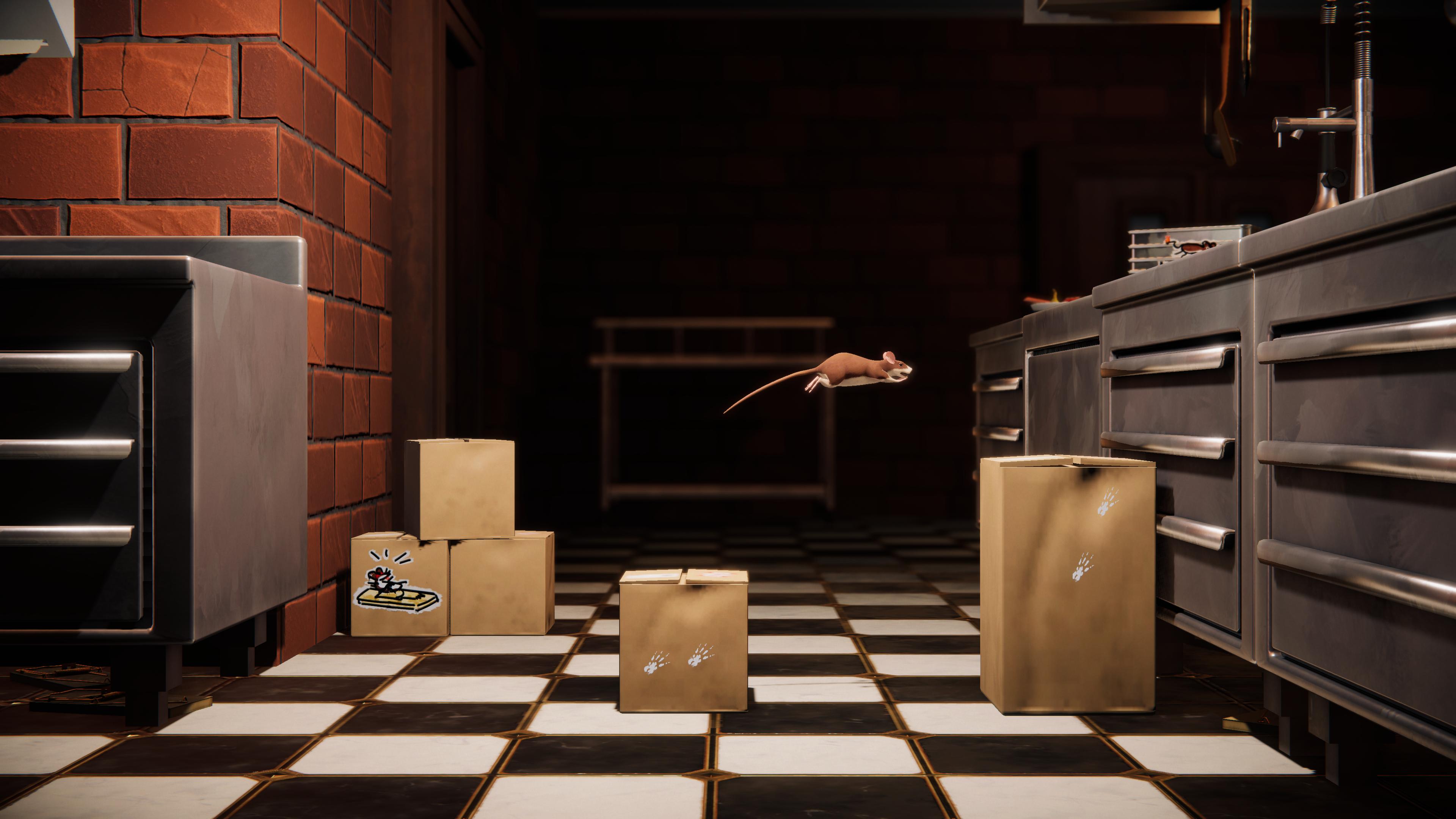 C.A Website | Projects - Scurry