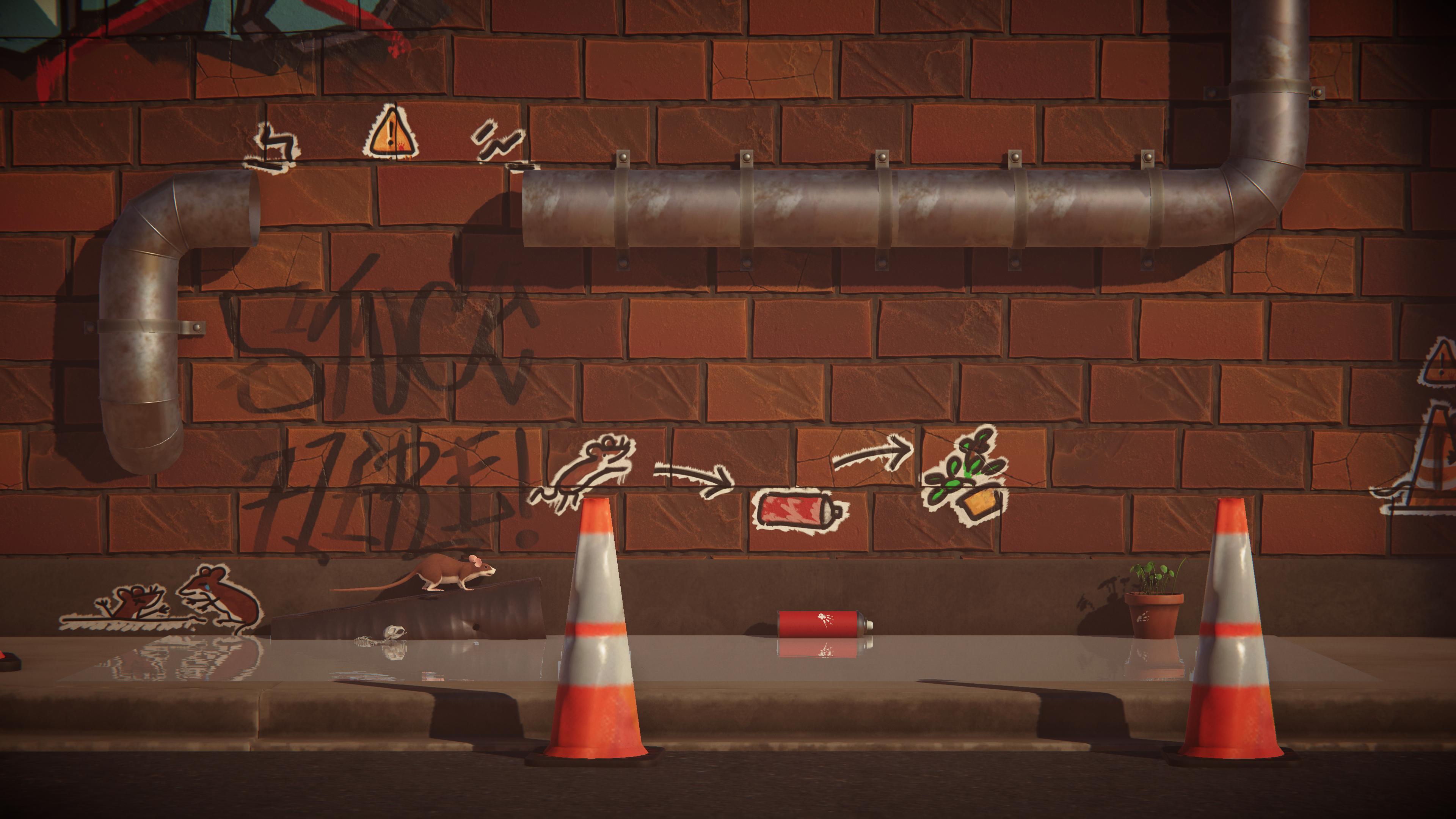 C.A Website | Projects - Scurry